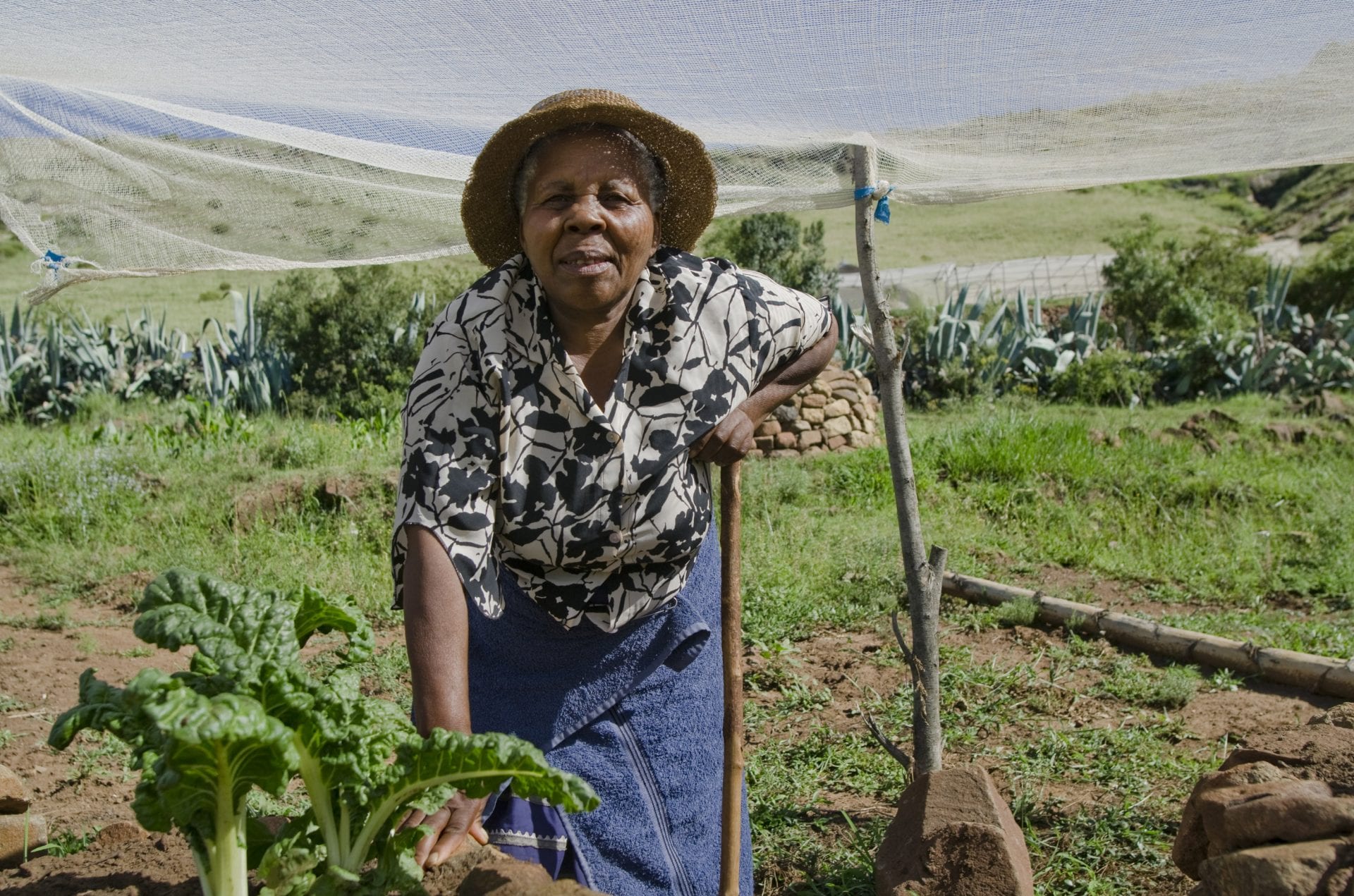 Lesotho - ActionAid Nederland
